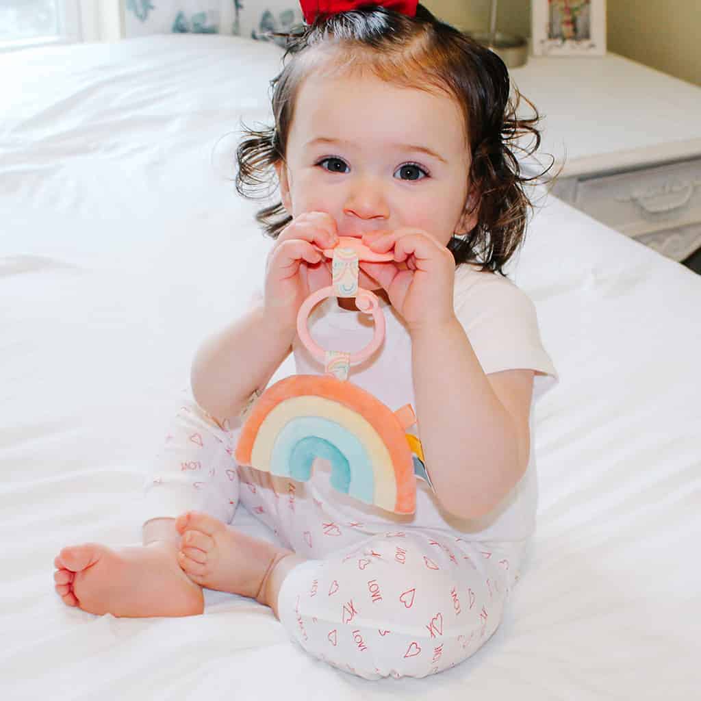 Itzy Ritzy - Itzy Pal - Plush Pal Infant Toy with Silicone Teether ...