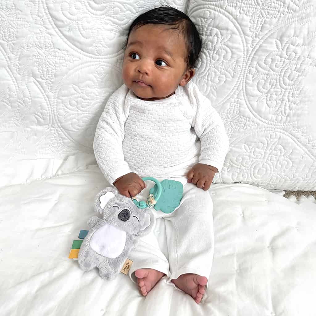 Itzy Ritzy - Itzy Pal - Plush Pal Infant Toy with Silicone Teether ...